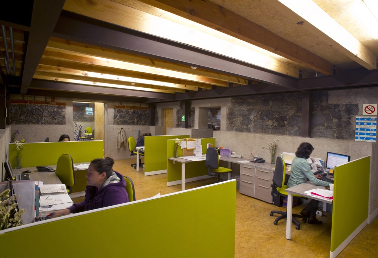 Ibby México | Interior Designio