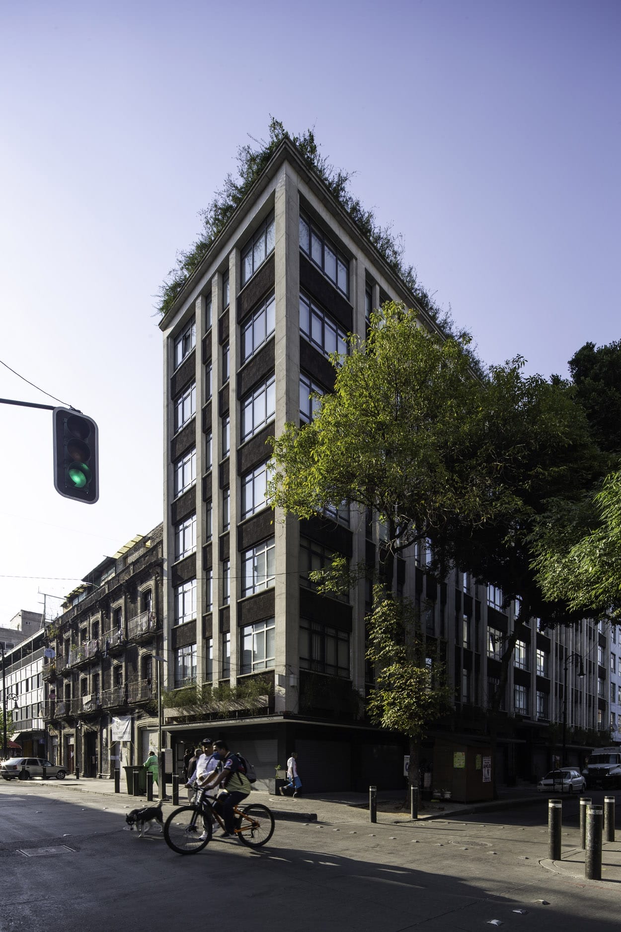 Casa Palma | Interior Designio