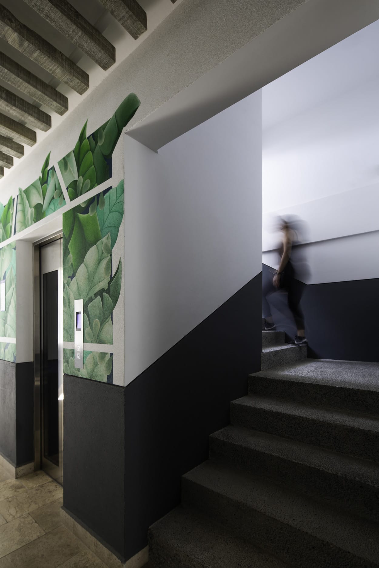 Casa Palma | Interior Designio