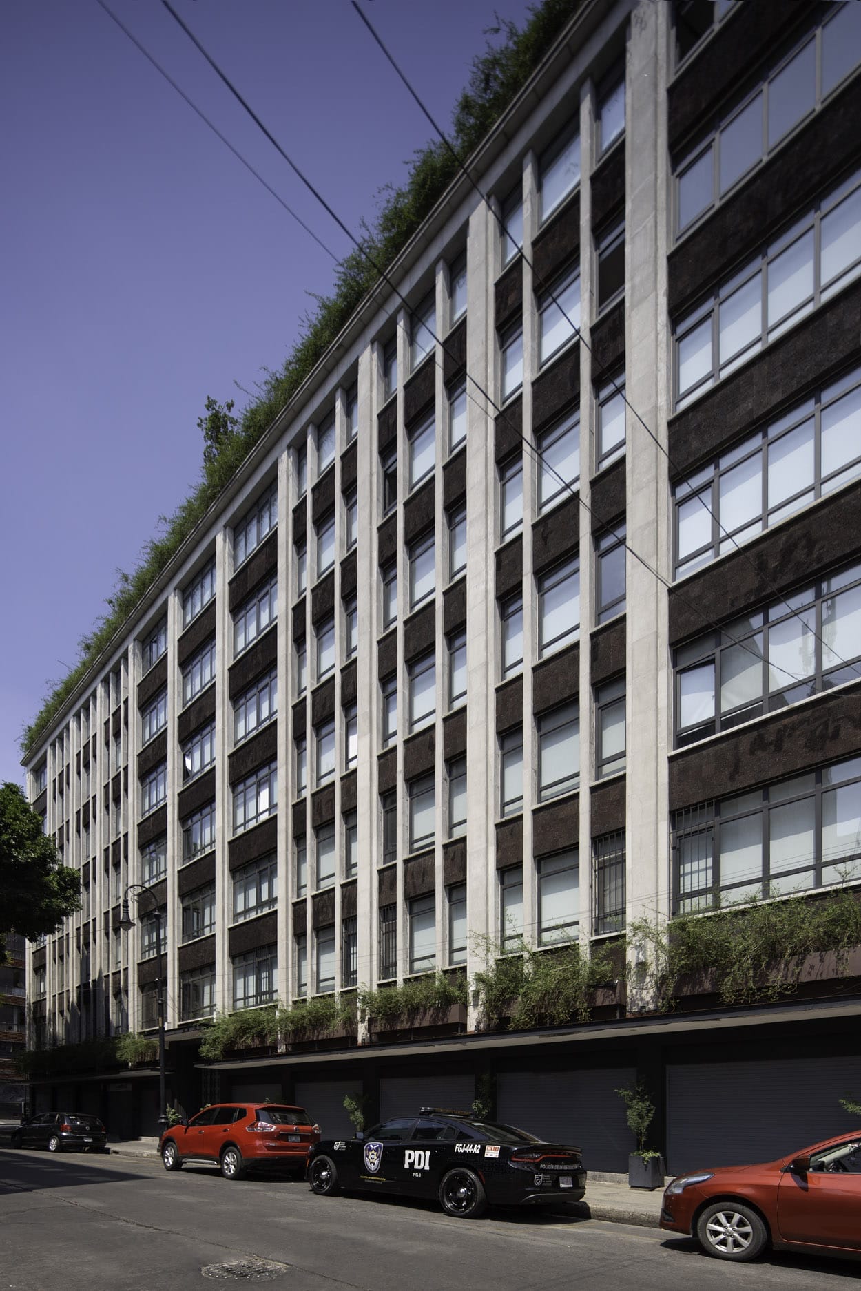 Casa Palma | Interior Designio